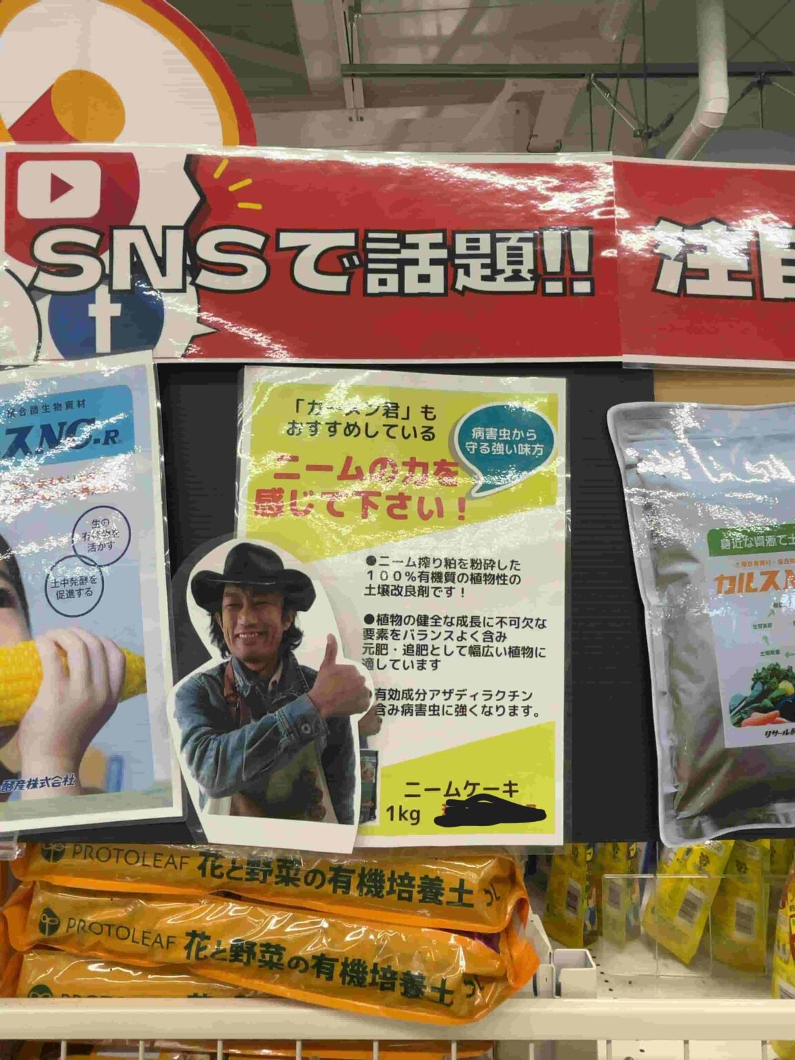 TaiShoDo（大正堂）に行ってきました！〜栃木県那須塩原市の園芸店〜 | 緑の日記