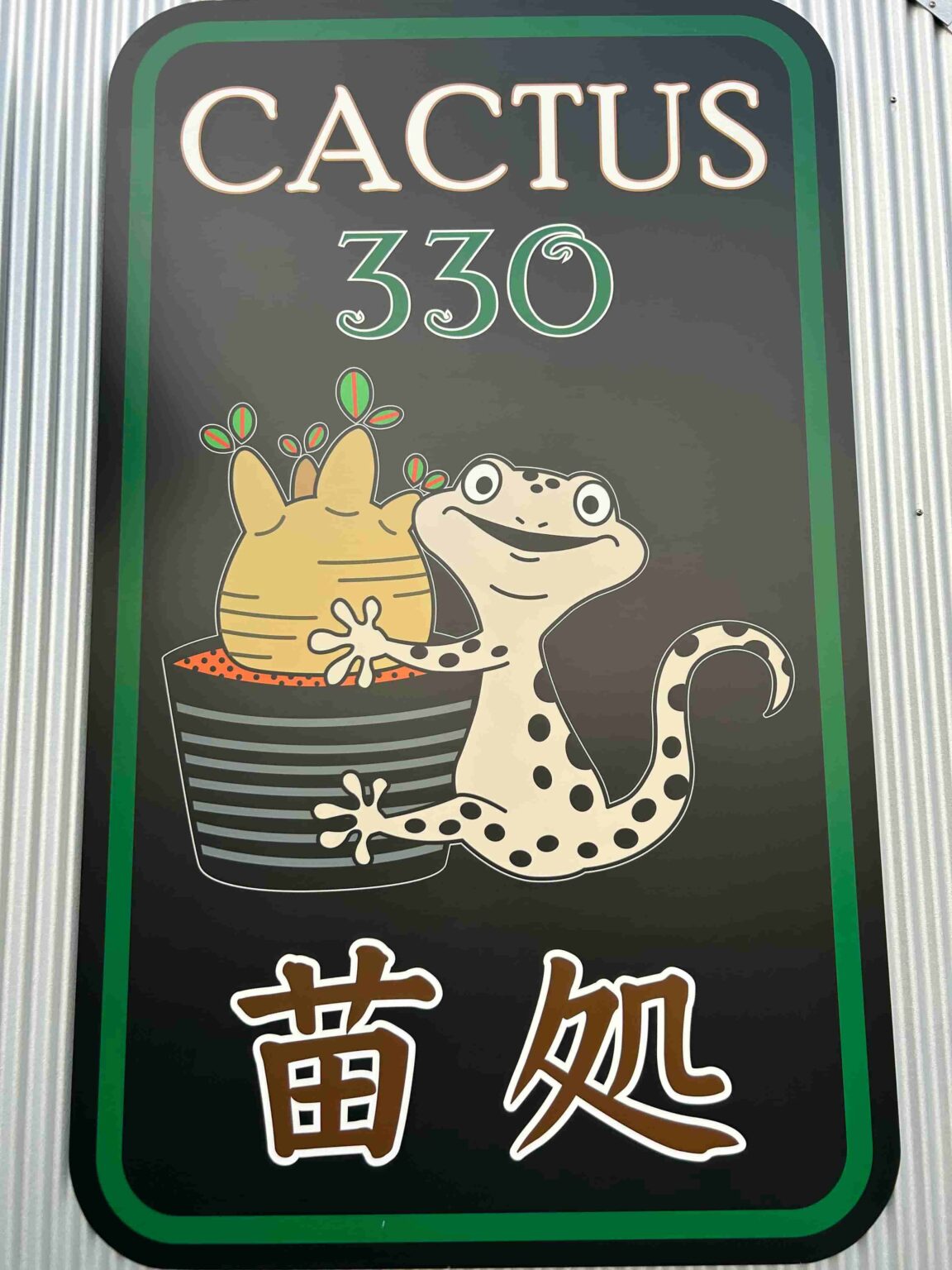 栃木県小山市の多肉植物専門店「CACTUS330」（カクタスミサオ）に行ってきた！ | 緑の日記