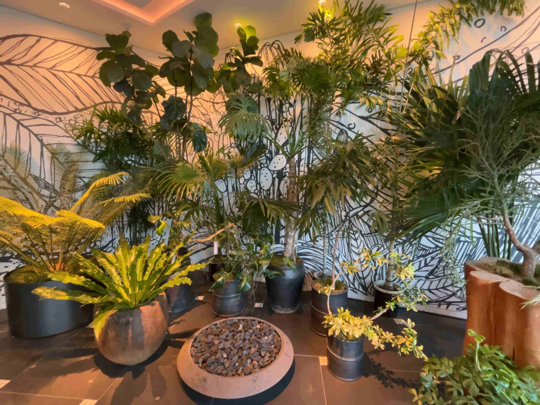 SOLSO HOME Futako（ソルソ ホーム フタコ）は二子玉川にある園芸店！ | 緑の日記