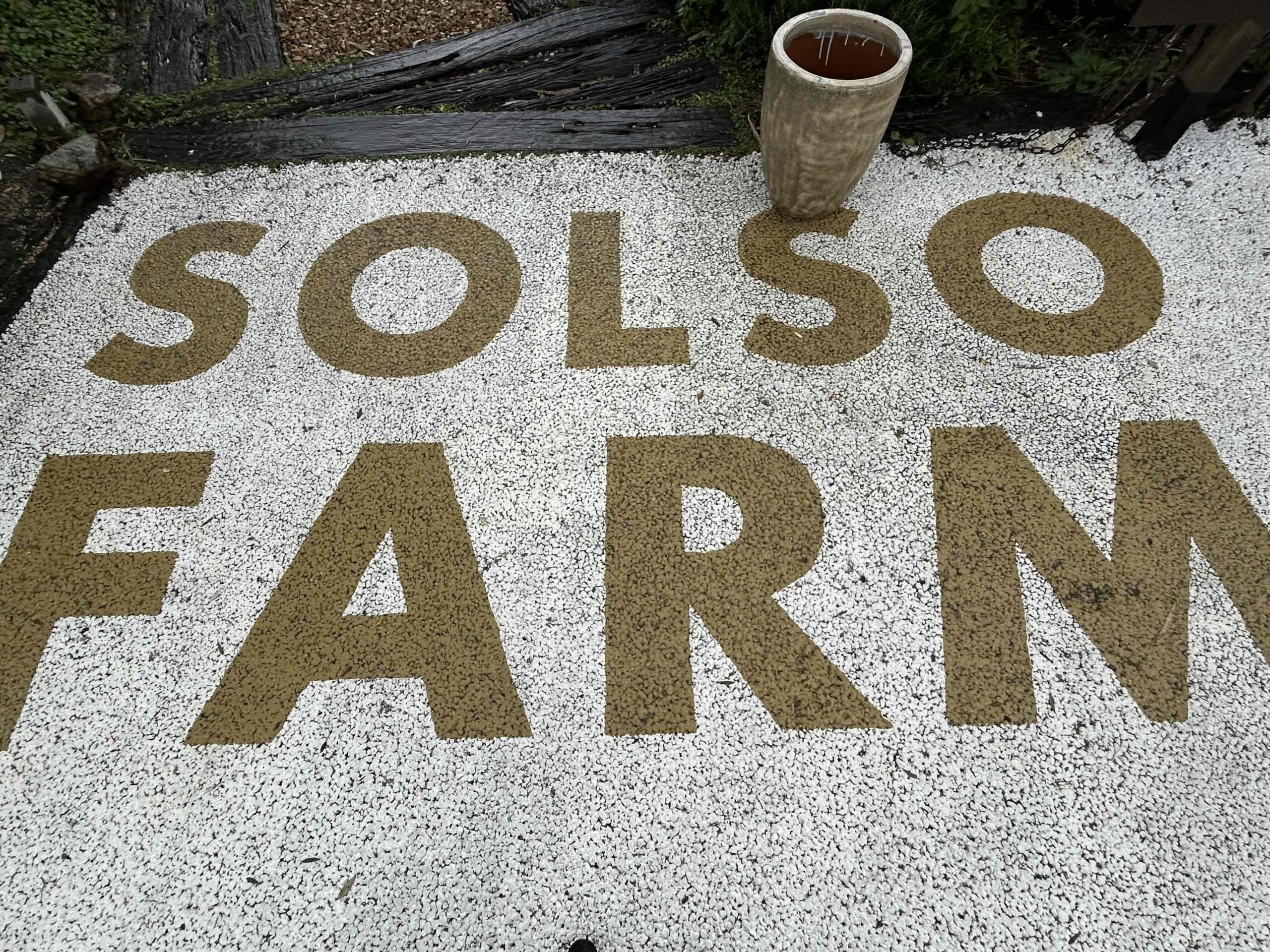 ソルソファーム（SOLSO FARM）は、多くの展示物が並ぶ大型園芸店！ | 緑の日記